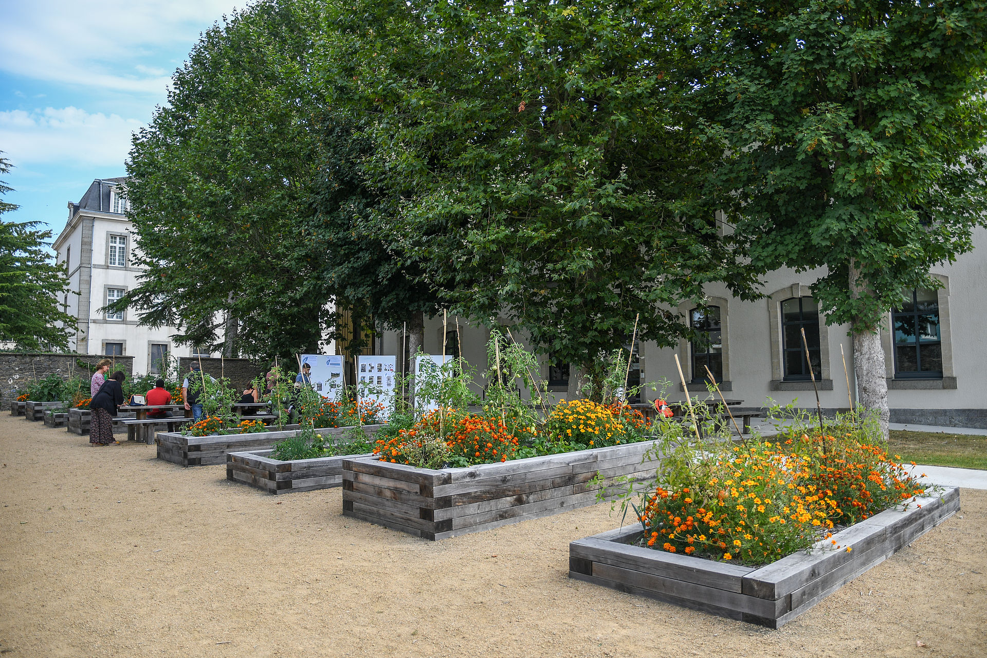 Quartier Ferrié : le renouveau urbain - Laval agglo - Laval Agglomération