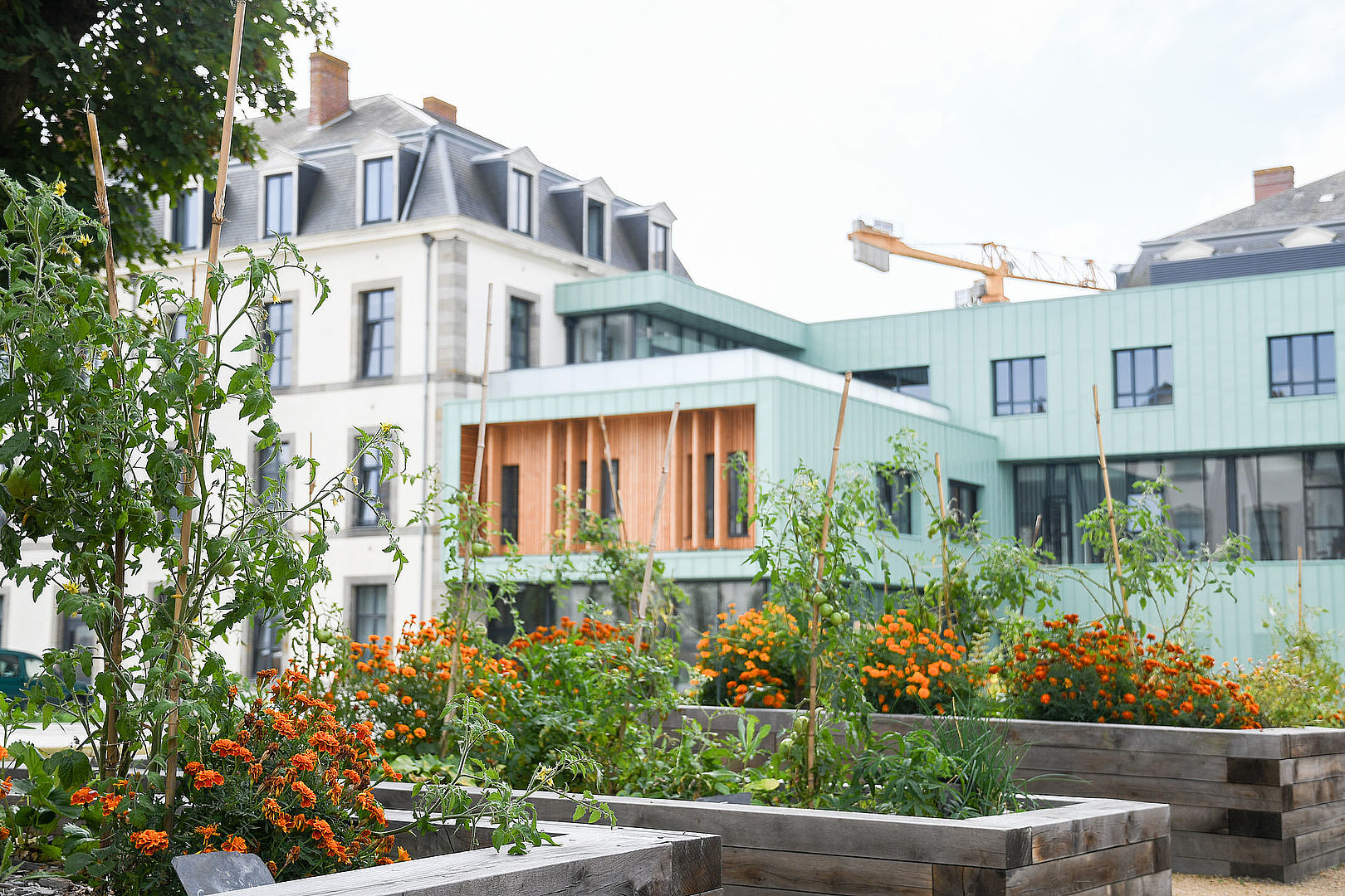 Quartier Ferrié : le renouveau urbain - Ville de Laval